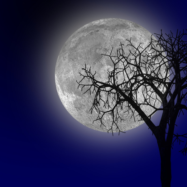 Die Schwingung des Mondknotens | Schwingung des Lebens